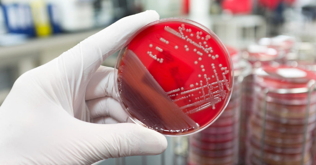 Products – Biocides